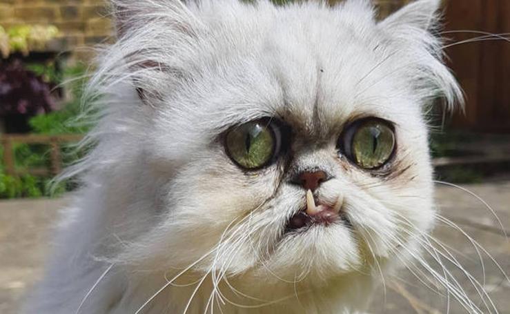 Fotos: Las impactantes fotos que ha dejado este año | El Comercio