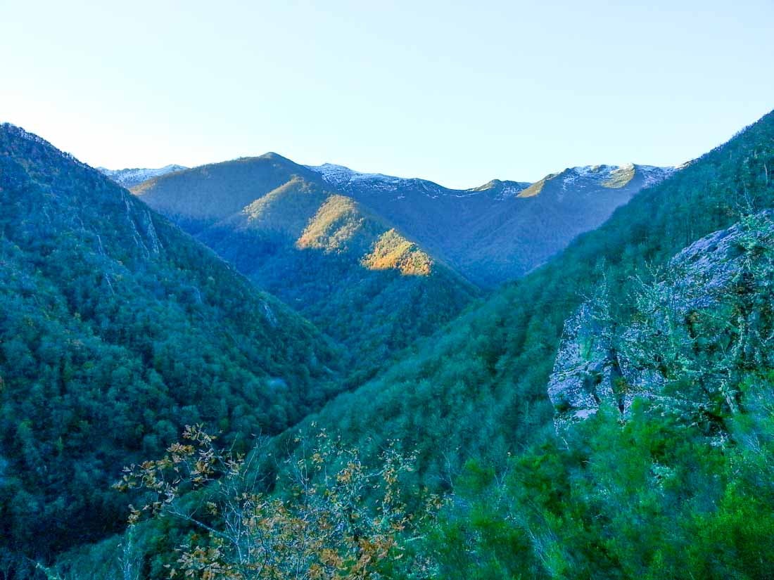 Ruta en Asturias: El bosque de Muniellos | El Comercio