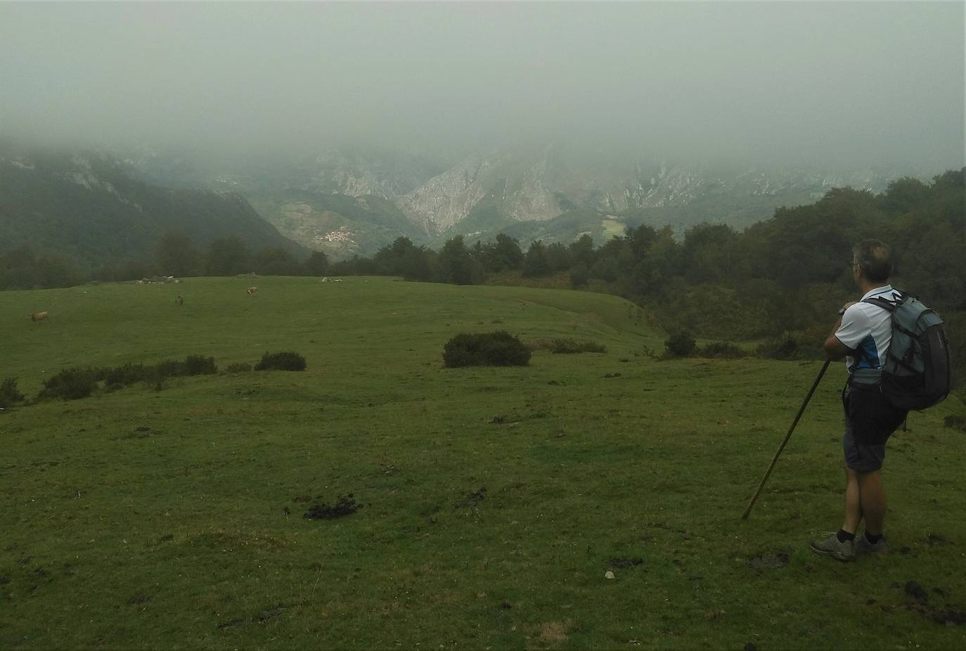 Ruta al pico Recuencu en Ponga (Asturias) | El Comercio