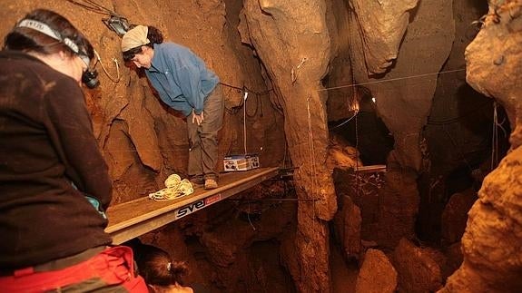 Las investigaciones de El Sidrón revelan que los neandertales ...