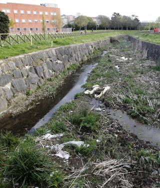 La limpieza del río Pilón, pendiente de la seguridad de los ...